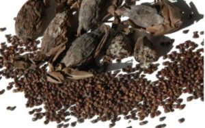 8 amazing health benefits of Alligator pepper | Fakaza News